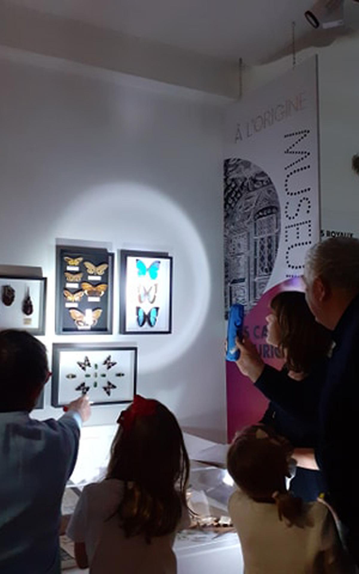 Flit around the Butterfly Museum | Hauts-de-France Tourism – Official ...