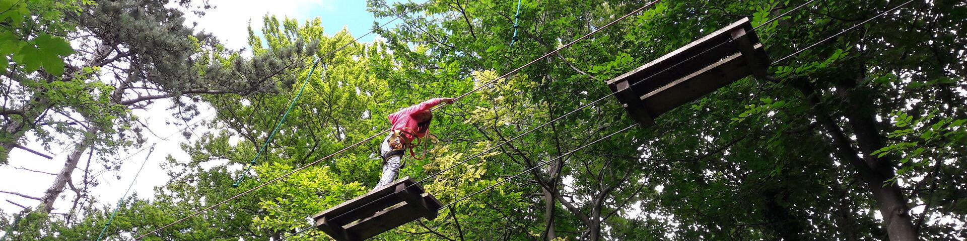 Boomklimmen voor een uitdagend weekend met vrienden! | Officiële site ...