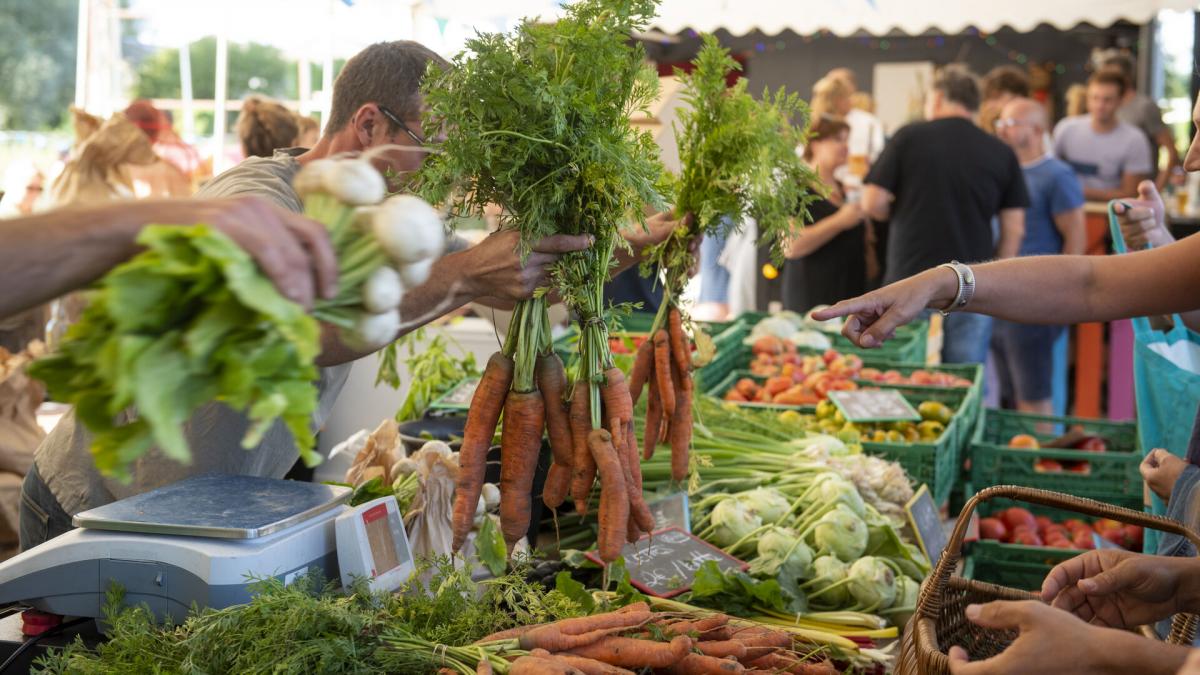 Découvertes gourmandes | Site officiel Hauts-de-France Tourisme