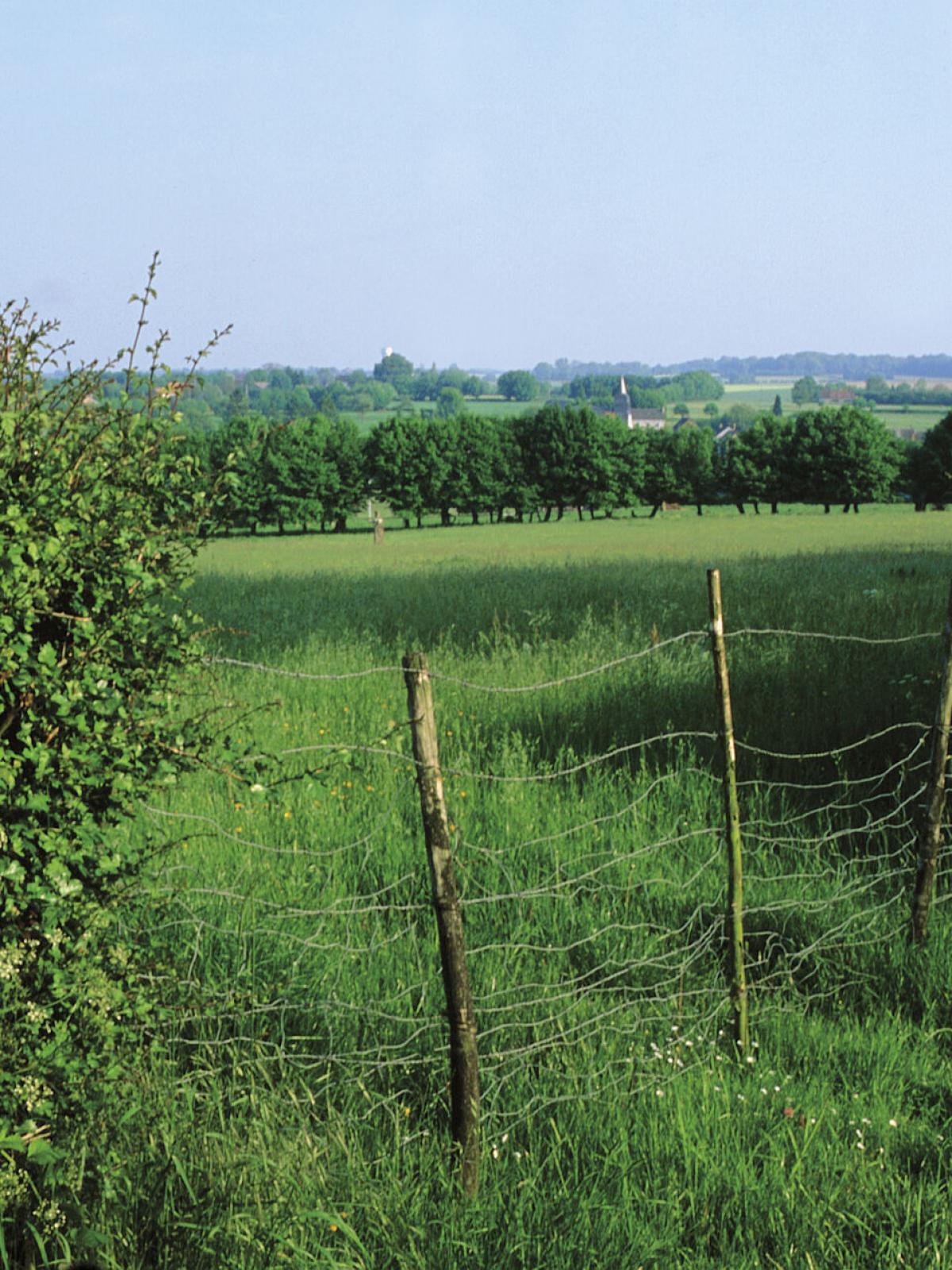 Hauts-de-France Tourism – Official Website