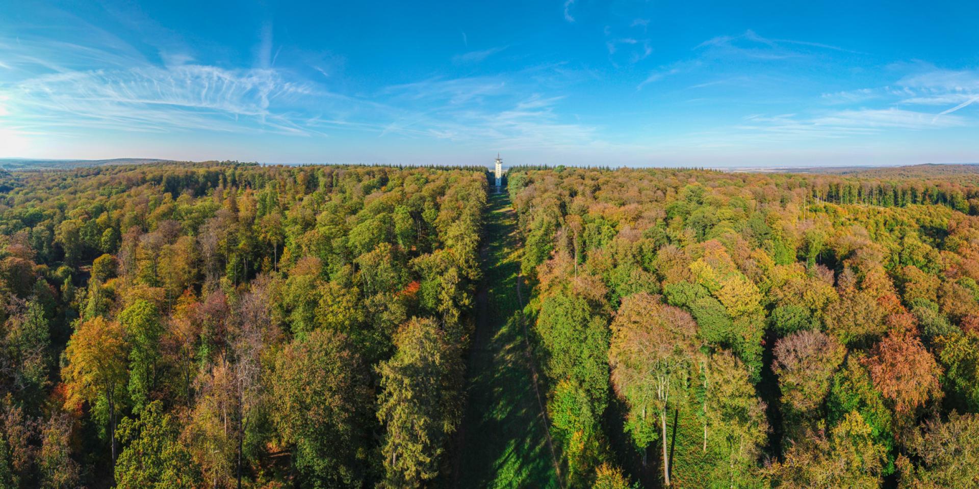 10 forests to get some fresh air in Hauts-de-France | Hauts-de-France ...