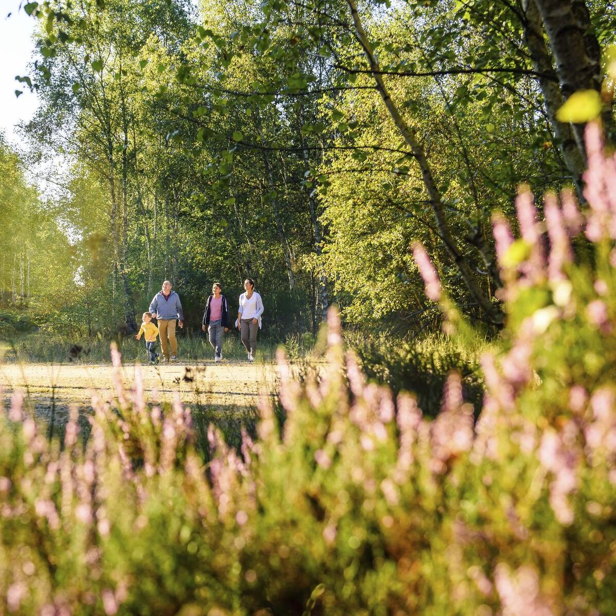 10 forests to get some fresh air in Hauts-de-France | Hauts-de-France ...