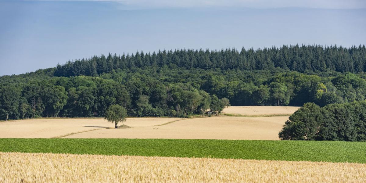 Pristine areas of natural beauty: 5 regional natural parks in Hauts-de ...