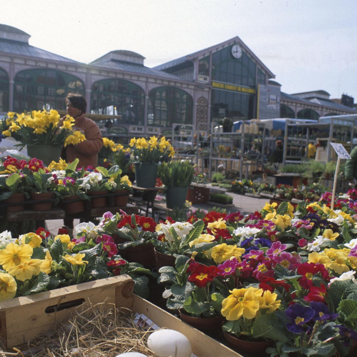 Why Lille is the real deal for your next city shopping break | Hauts-de ...