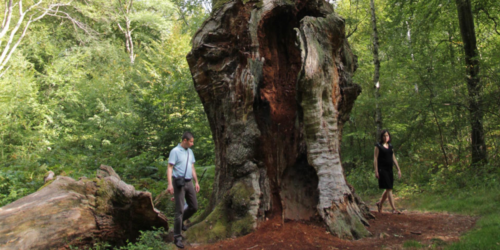 Visiter Saint-Jean-aux-Bois | Site officiel Hauts-de-France Tourisme