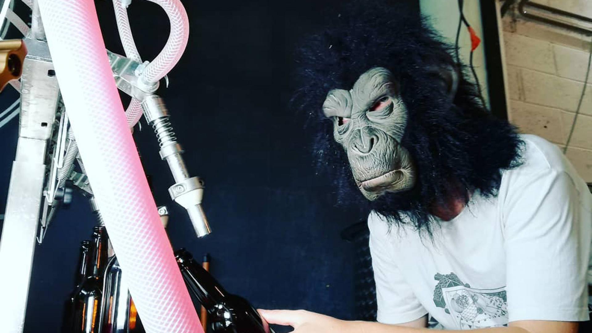 The Top 6 Craft Beer Bars of Northern France Hauts-de-France Tourism ...