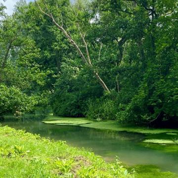 Walking the Via Francigena through the Historic Artois Region | Hauts ...