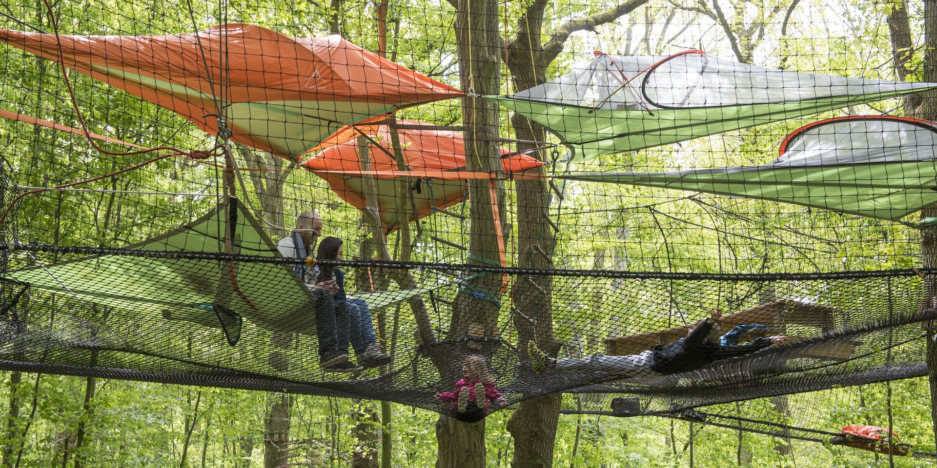 Boomklimmen voor een uitdagend weekend met vrienden! | Officiële site ...