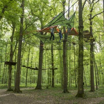 Boomklimmen voor een uitdagend weekend met vrienden! | Officiële site ...