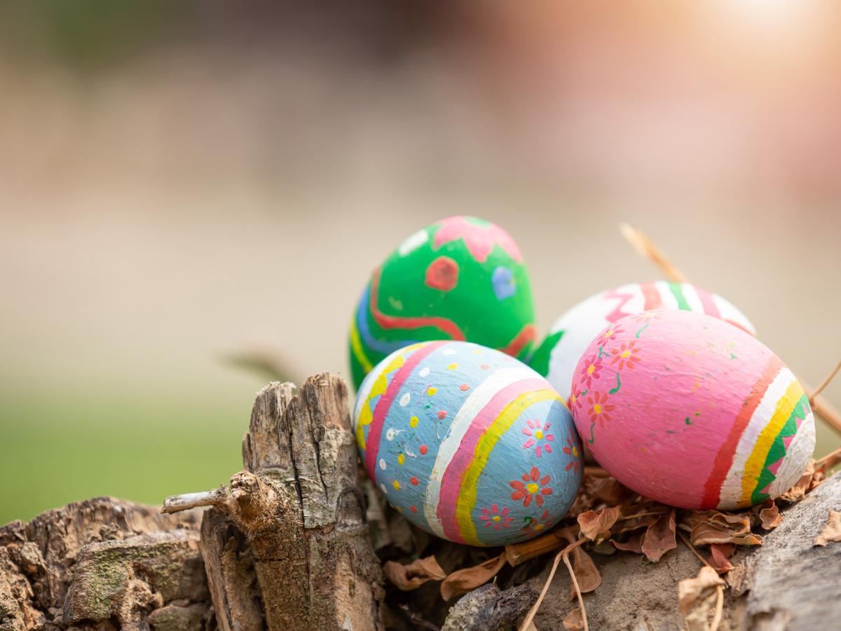 Activités de Pâques : les sorties en plein air en famille | Site ...