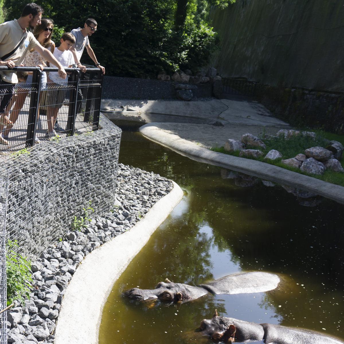 Que faire dans l’Avesnois ? 8 activités incontournables à vivre en ...