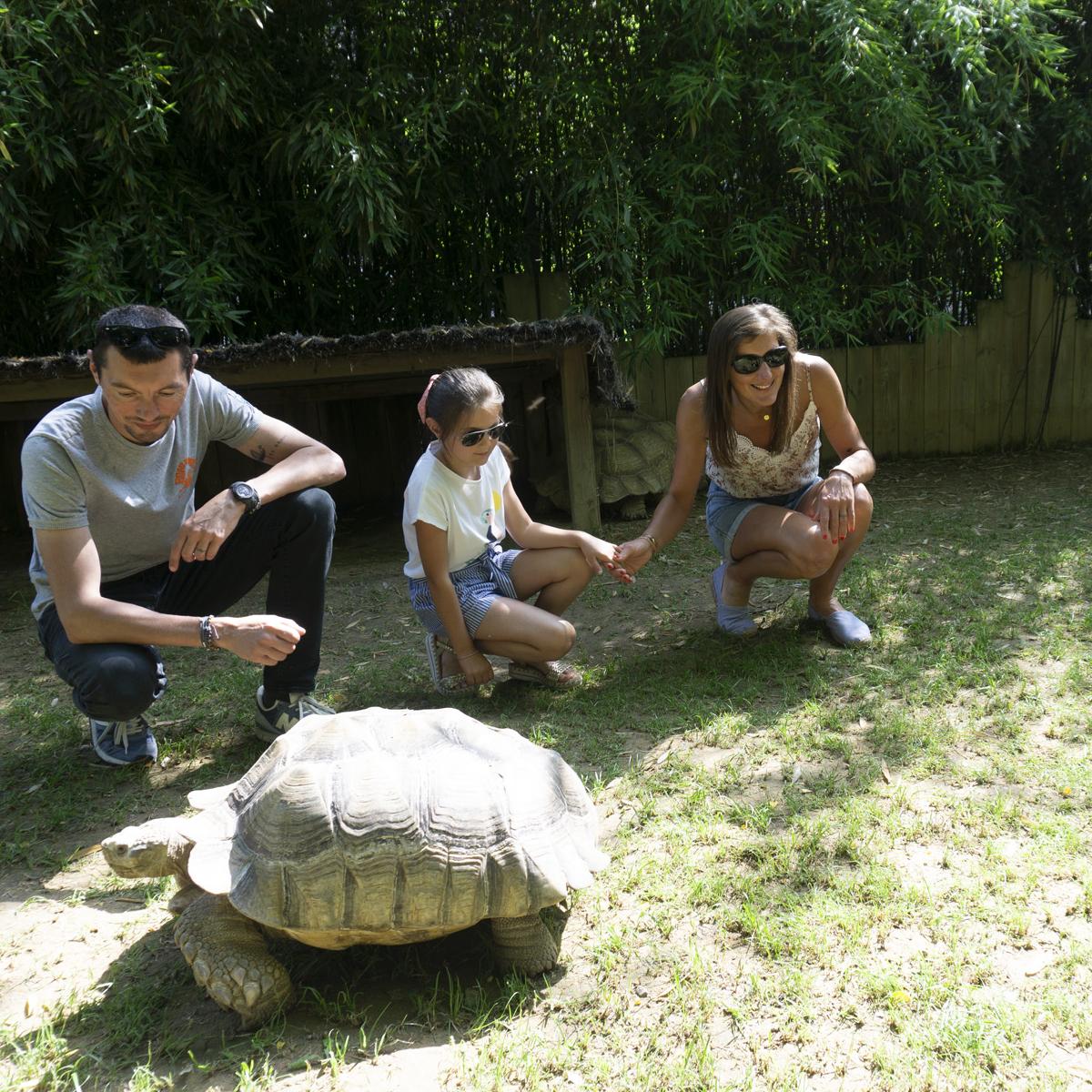 Que faire dans l’Avesnois ? 8 activités incontournables à vivre en famille | Site officiel Hauts ...