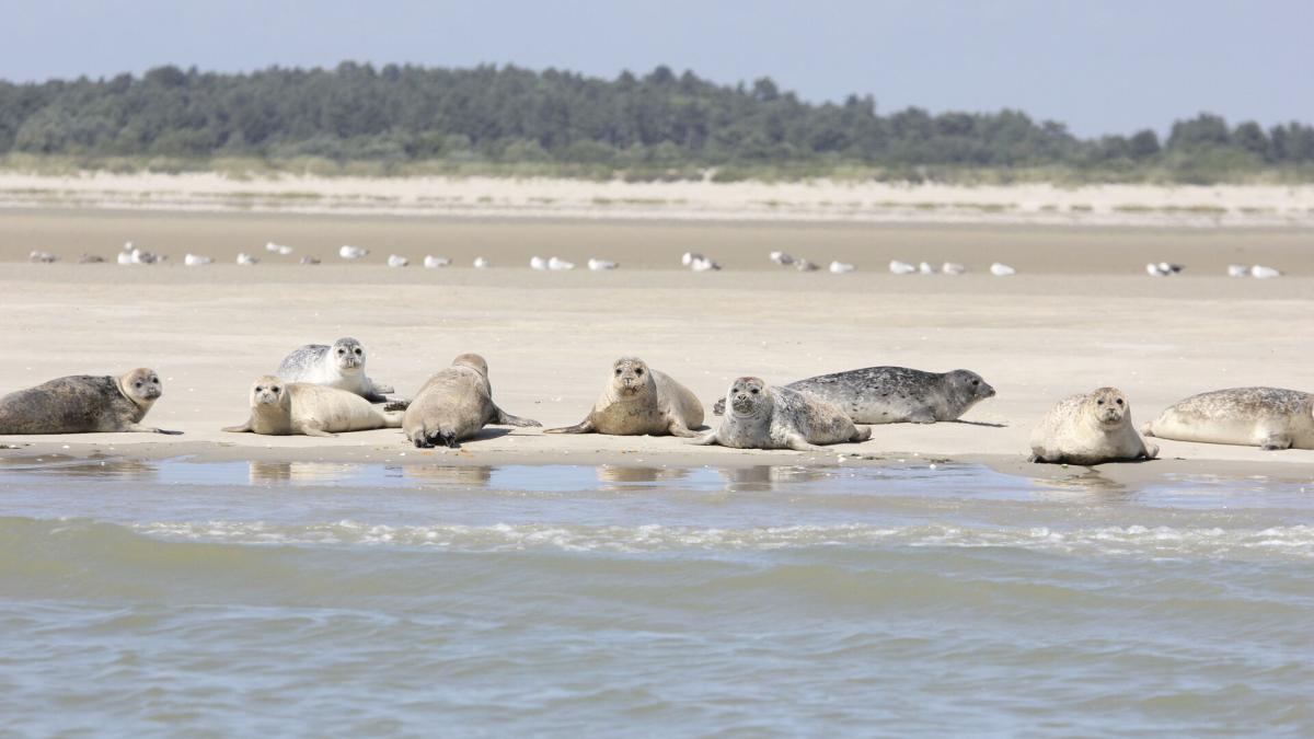 La Baie de Somme | Site officiel Hauts-de-France Tourisme