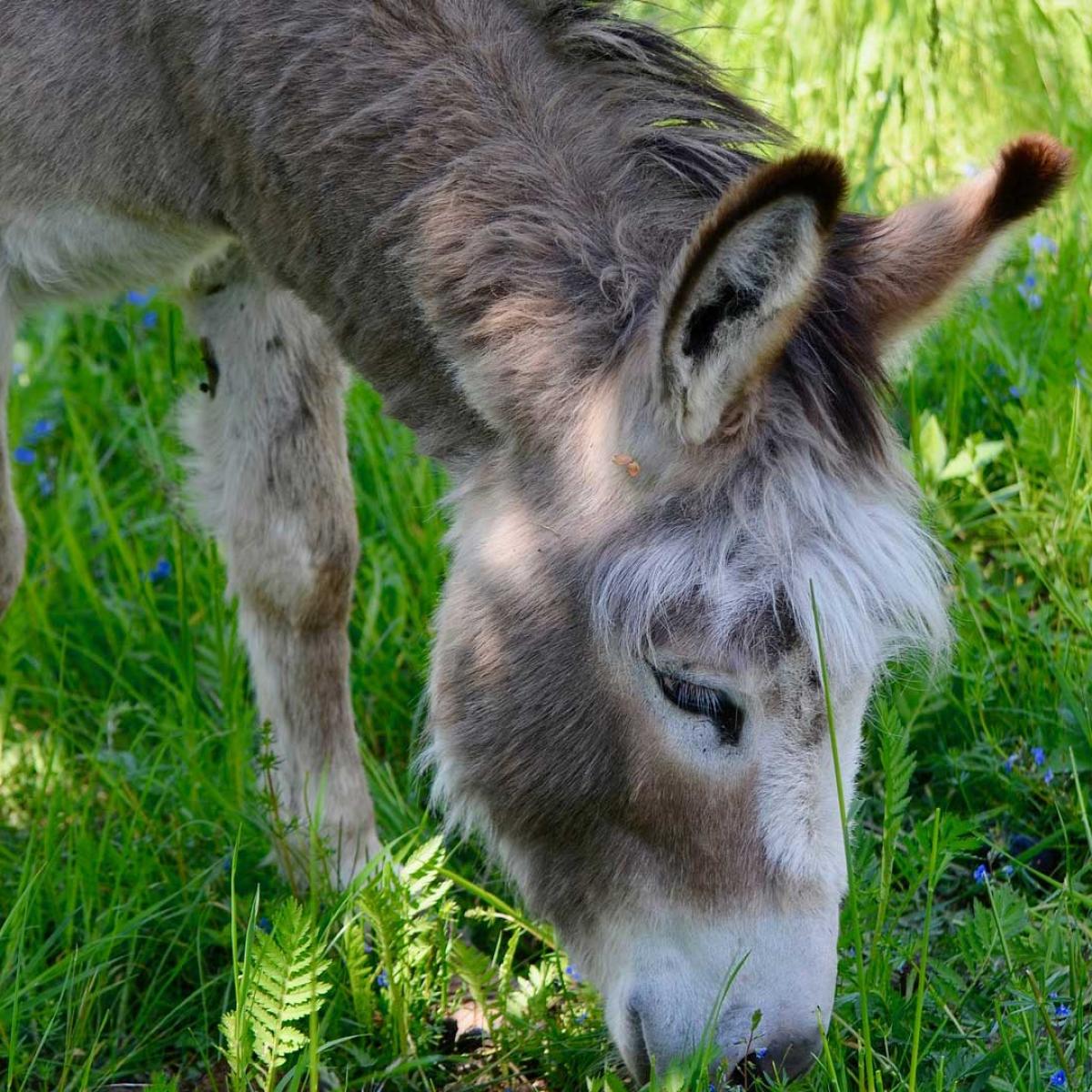 Zoo de la Barben : parc zoologique | Provence-Alpes-Côte d'Azur Tourisme