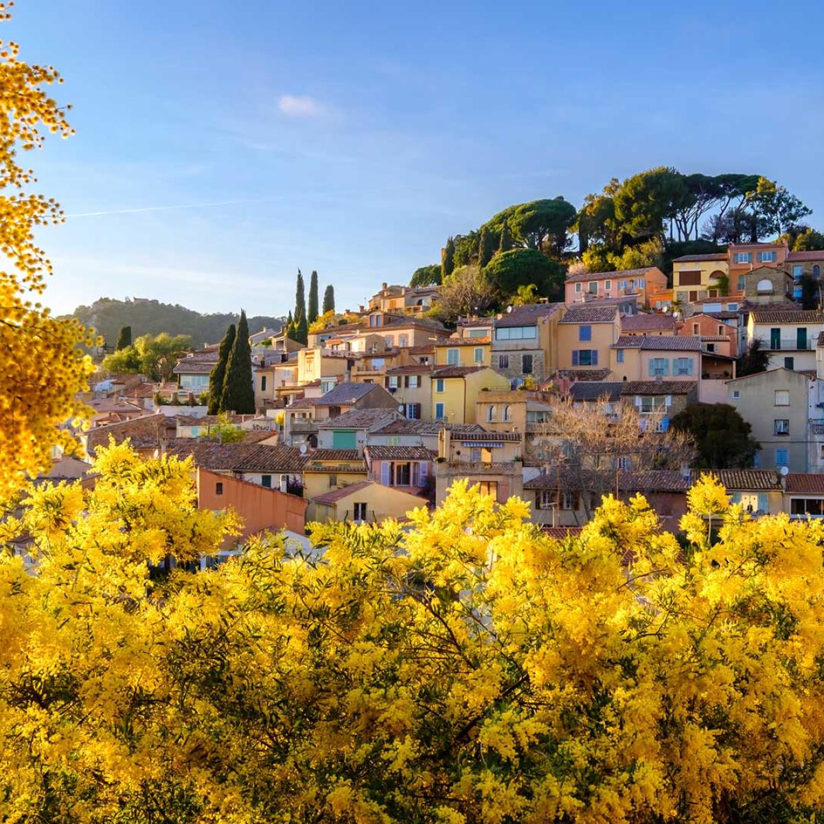 Relive Bormes-les-Mimosas “Corso Fleuri” flower parade on video ...