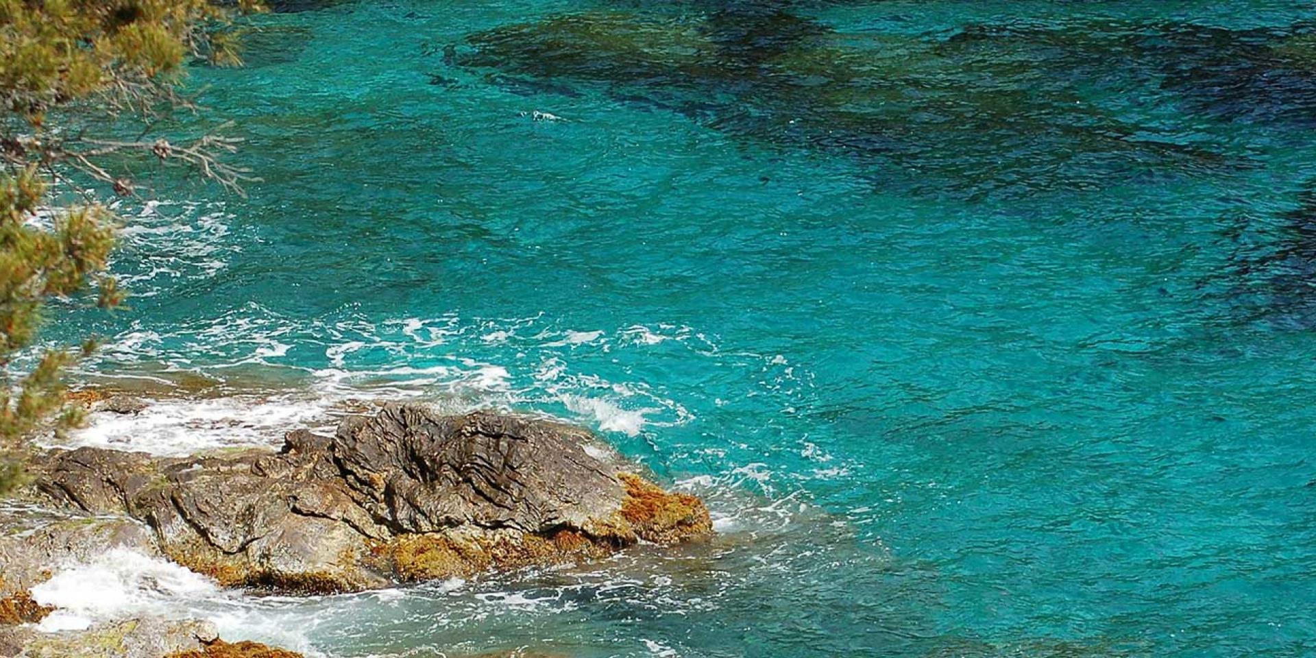 Rayol-Canadel-sur-Mer (83820) : tourism in the Var department