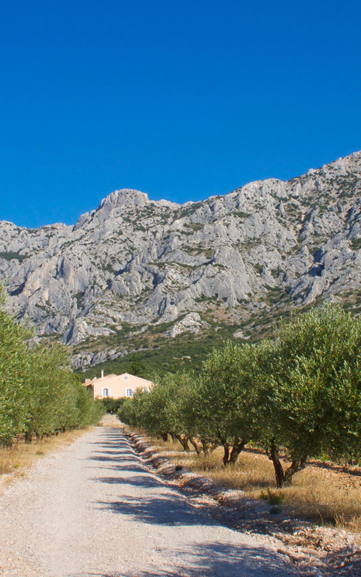 Nature in Provence: A region rich in natural treasures