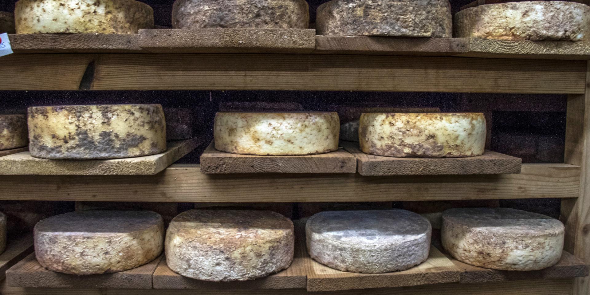 Local producers, farmers…: the finest cheeses in the French Southern Alps!