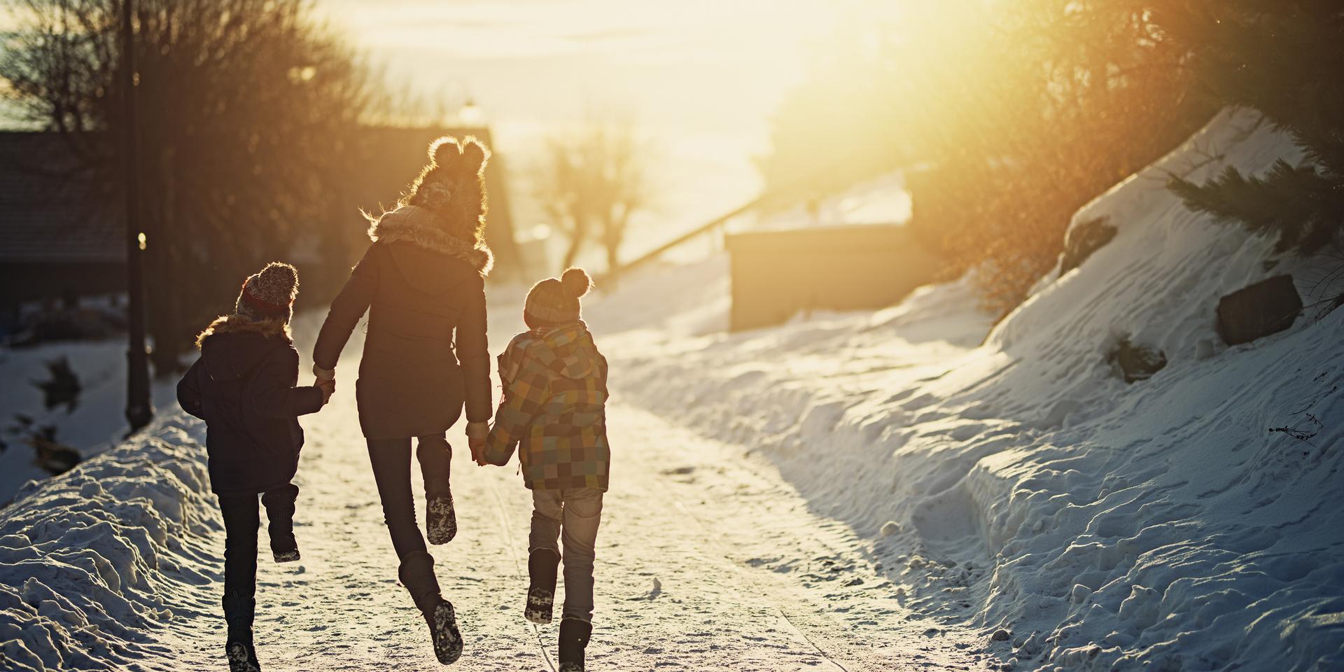 Winter Outings in the Alps: Skiing, Snowshoeing, or Snowy Walks