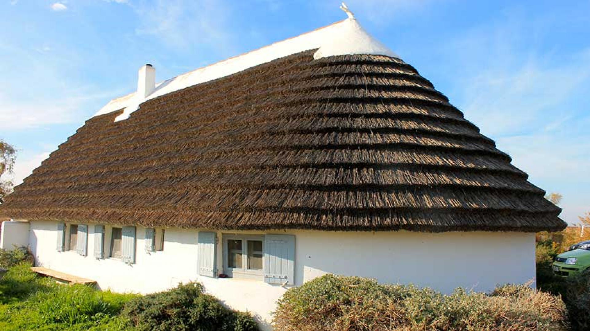 The ViaRhôna: An 815 km Bike Route from Lake Geneva to the Sea