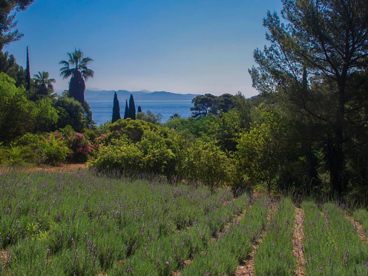 Nature in Provence: A region rich in natural treasures