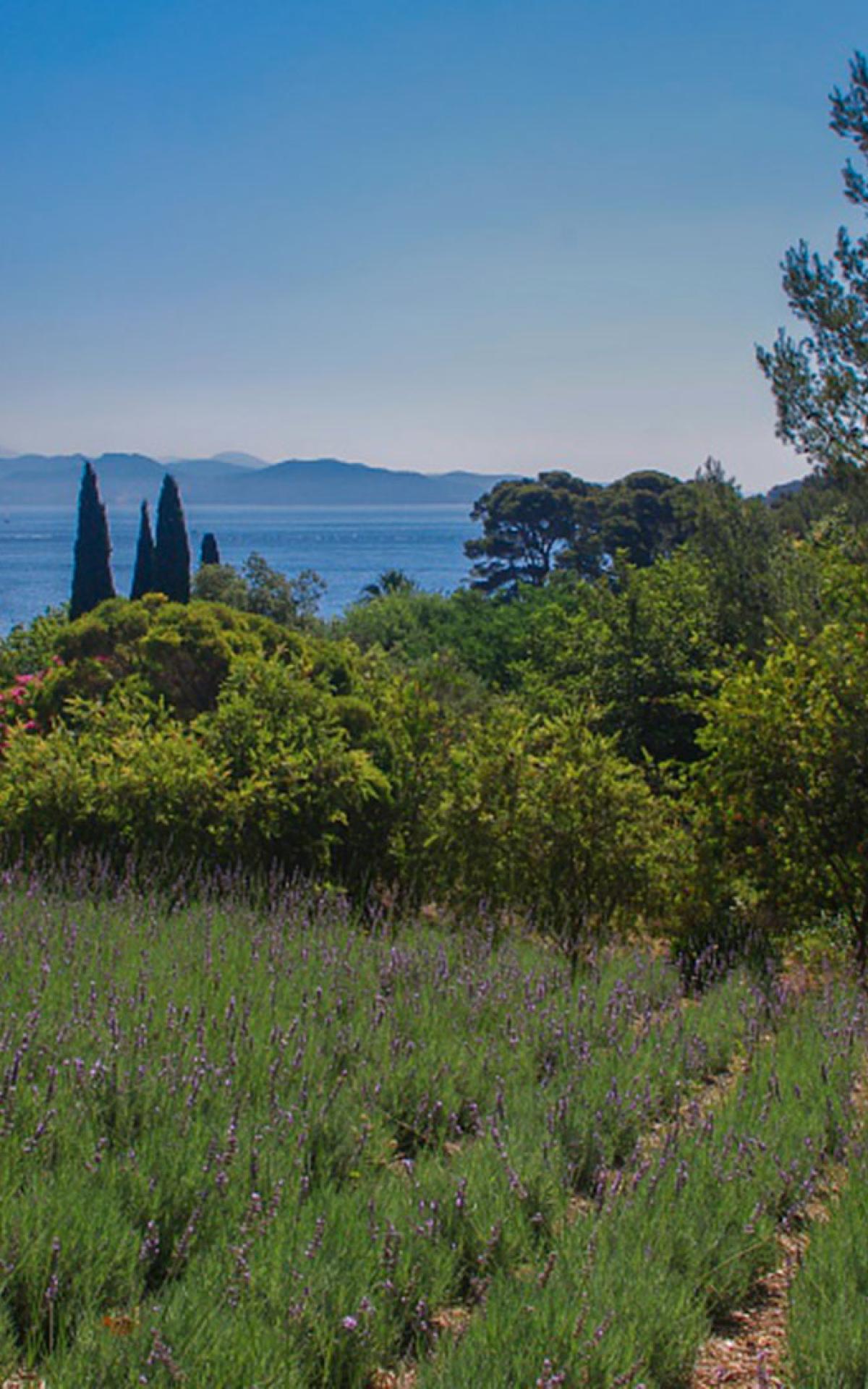 La Provence, côté nature | Provence-Alpes-Côte d'Azur Tourisme