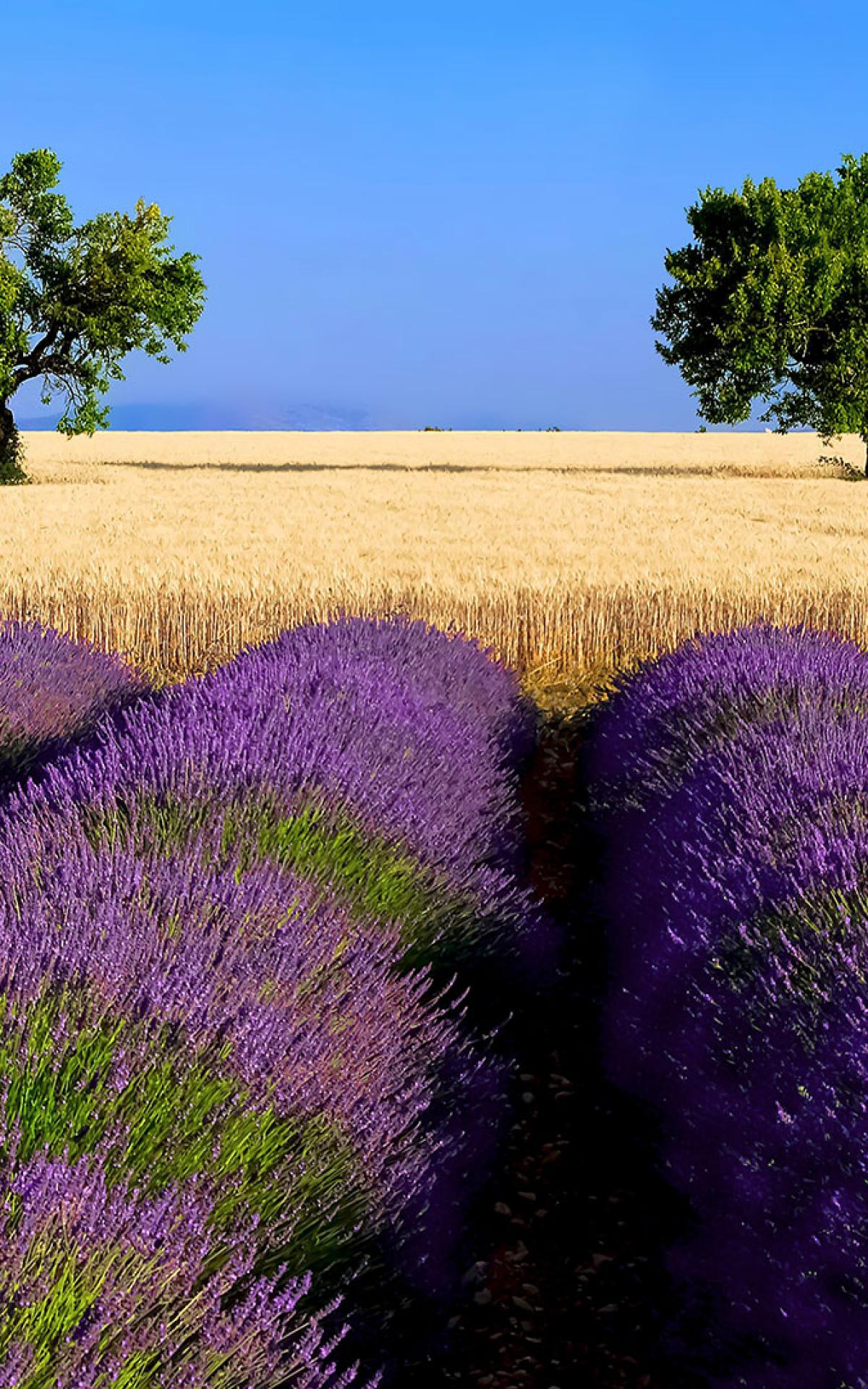 The Top 10 towns in Provence: Southern France at its most charming