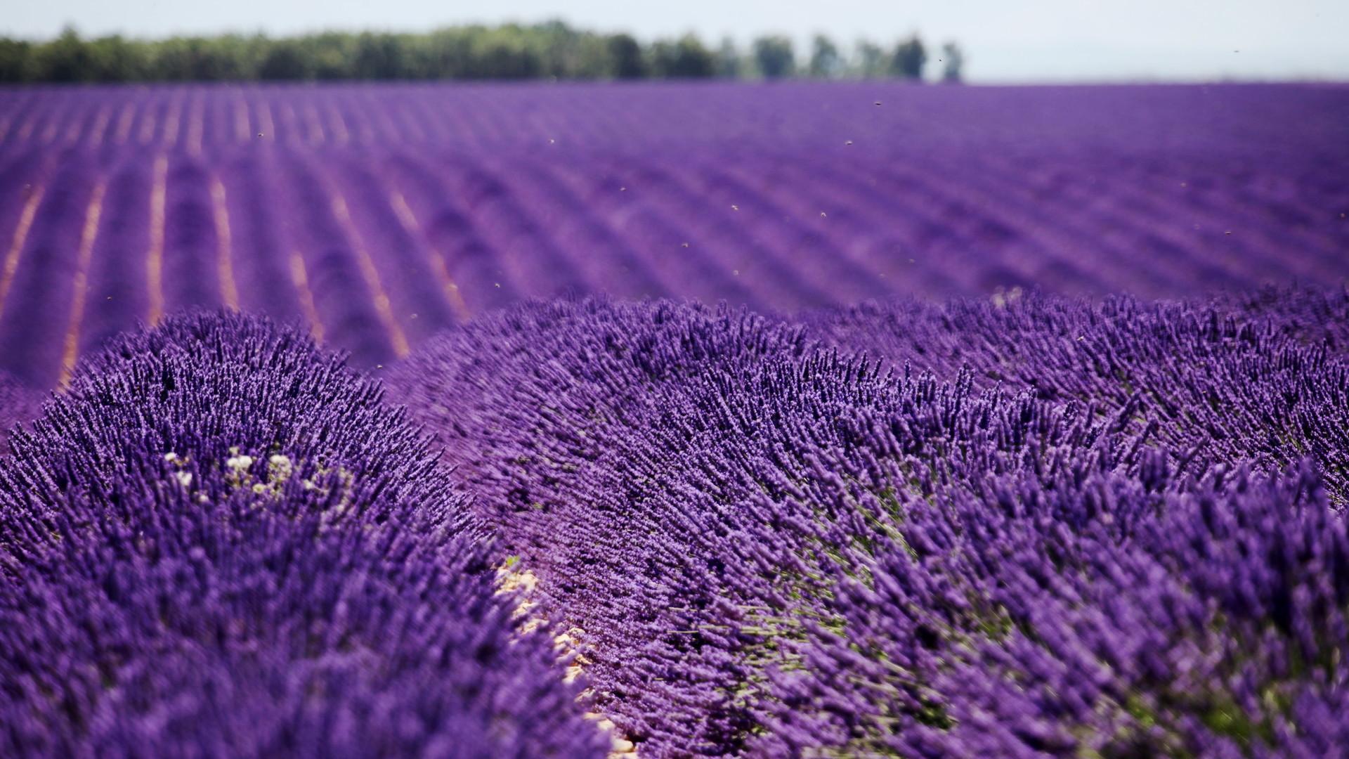 Discover the most beautiful panoramic views in Provence