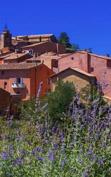 Provence Weather: With Year-Round Sun, Every Season Shines