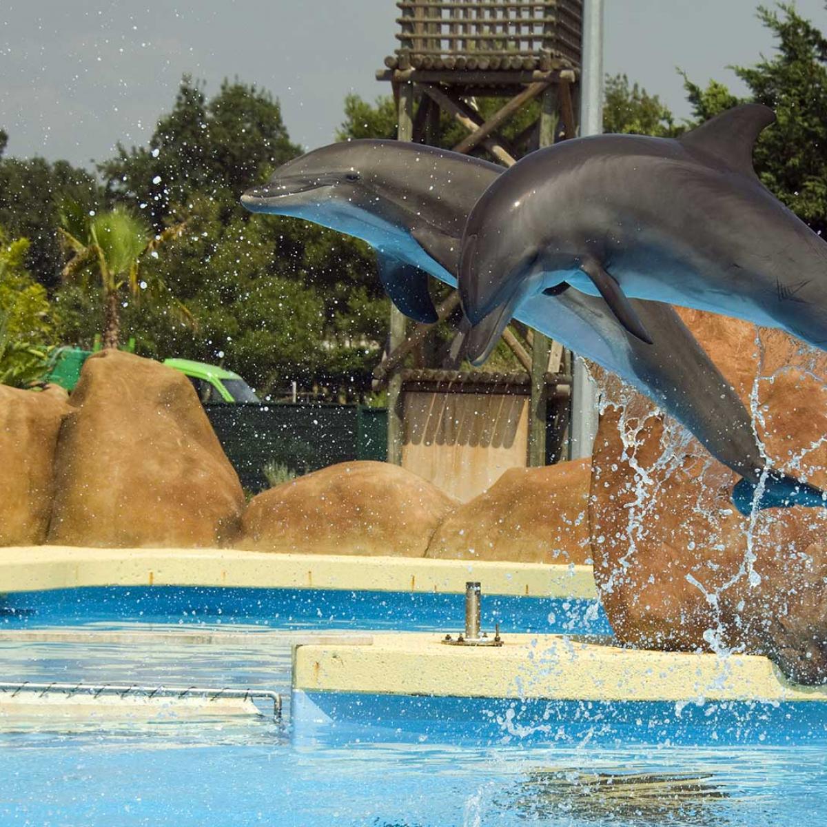 Zoo de la Barben : parc zoologique | Provence-Alpes-Côte d'Azur Tourisme