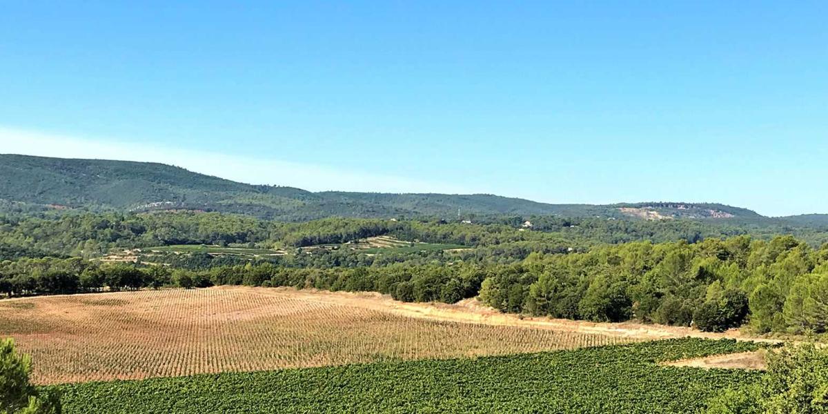 Lorgues (83510): tourism in the Var | Provence-Alpes-Côte d'Azur Tourism