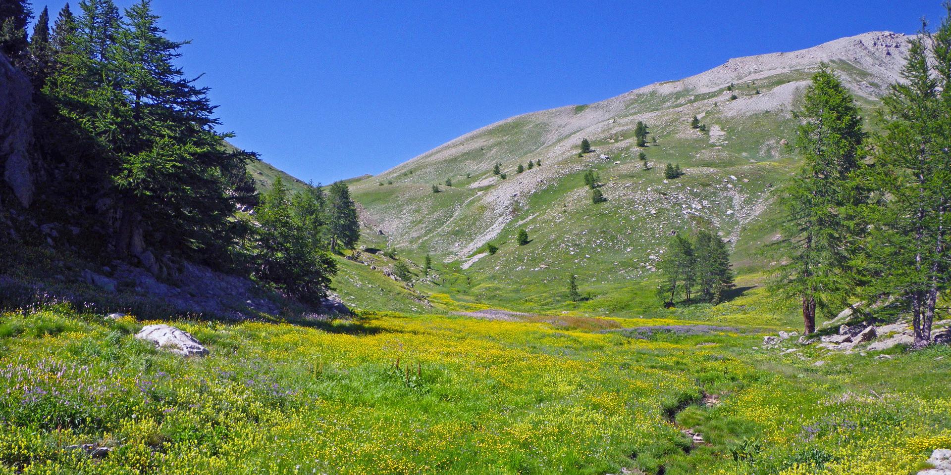 The GR56 Trek: The best backpacking and hiking in the heart of Ubaye