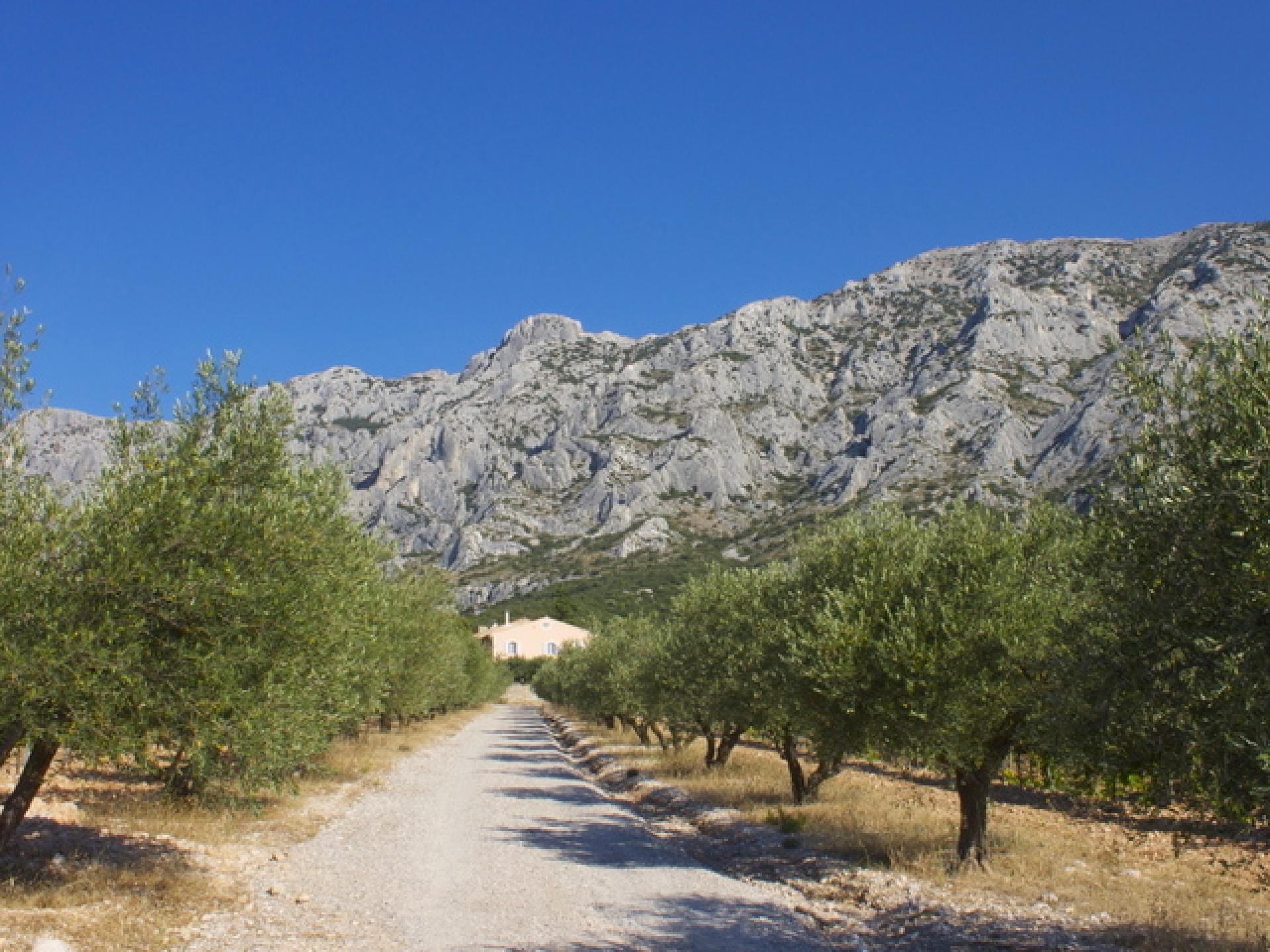 Discover Provence: The best guide to the Alpilles region