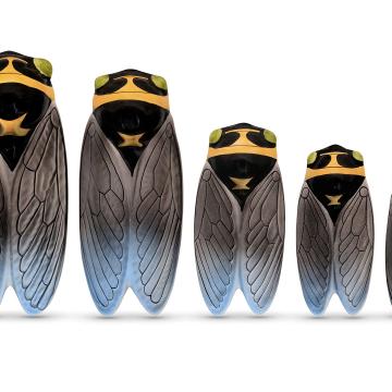 Traditions and Legends of Provence | Provence-Alpes-Côte d'Azur Tourism