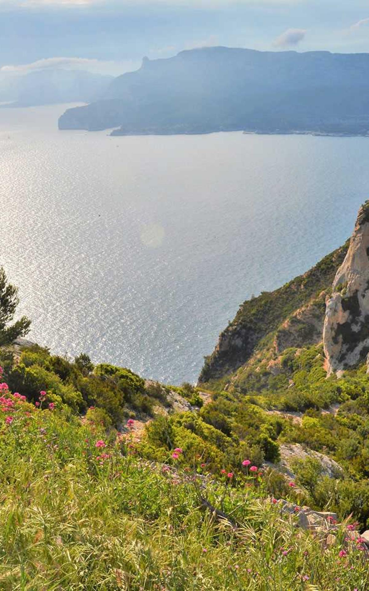 Anse Méjean (Toulon) | Provence-Alpes-Côte d'Azur Tourisme