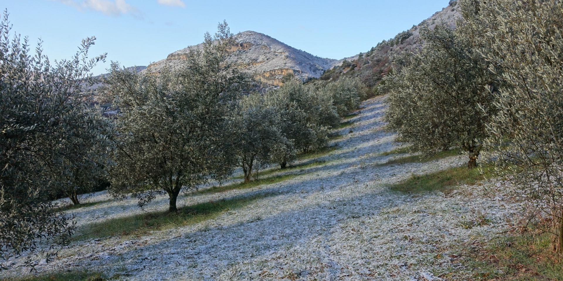 Discover the Parc Naturel Régional des Baronnies Provençales