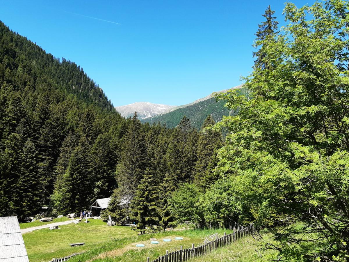 Beuil les Launes : station de ski et montagne | Provence-Alpes-Côte d ...