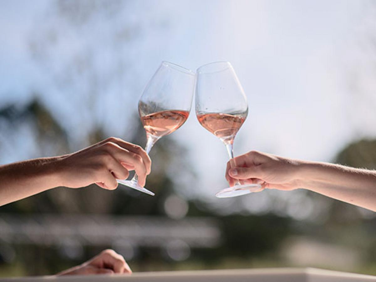 Discover the top things to do in Aix-en-Provence and its surroundings