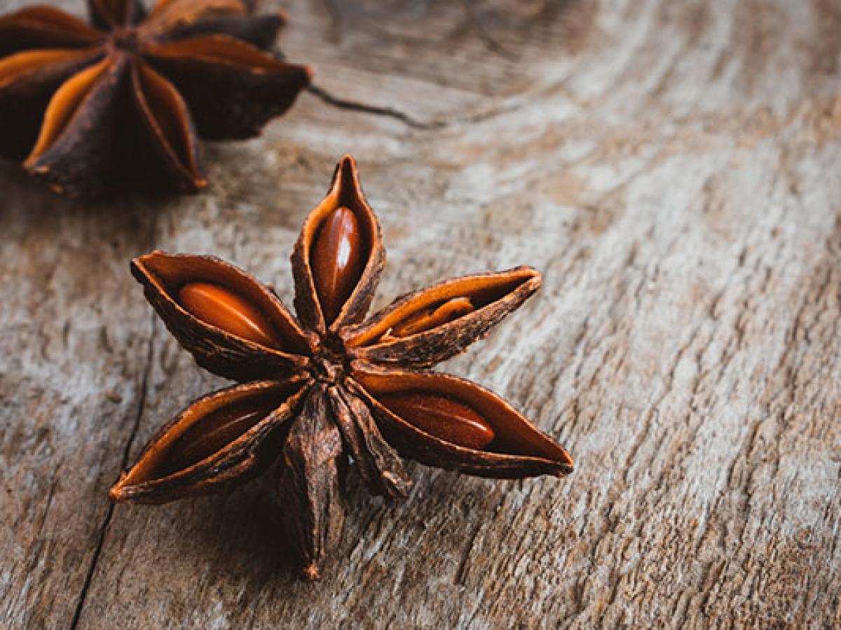 Pastis: The Traditional Drink Adored Across Provence