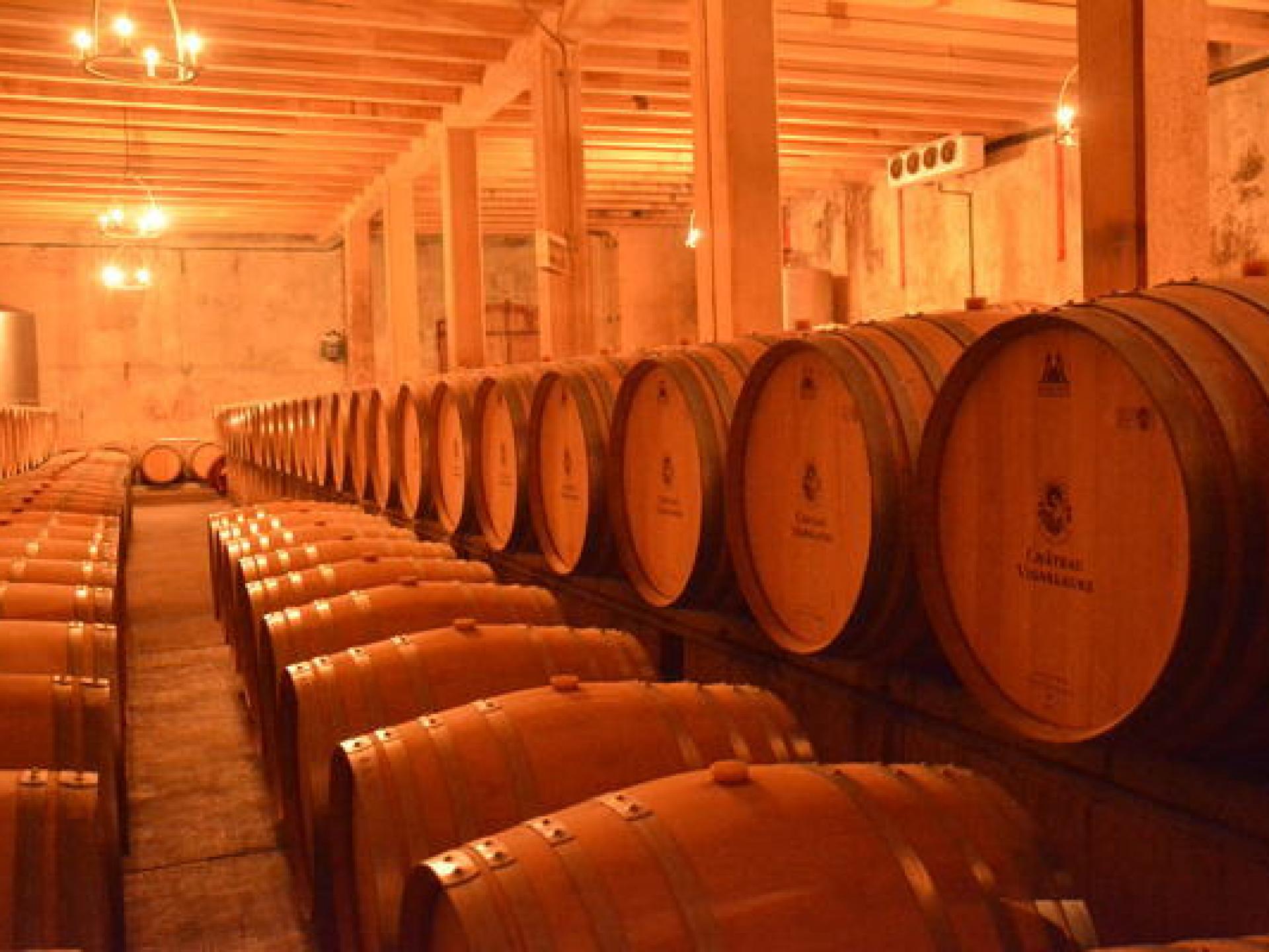 Discover our Essential Guide to Provence Wines and Wineries