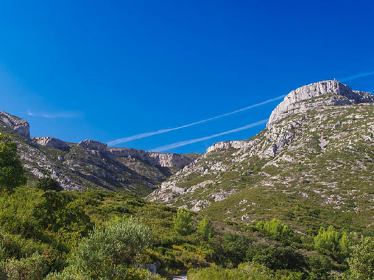 Balades nature en Provence : découvrez notre top 10