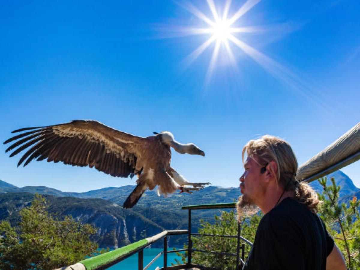 Parcs animaliers & réserves : rencontre avec les animaux | Provence ...