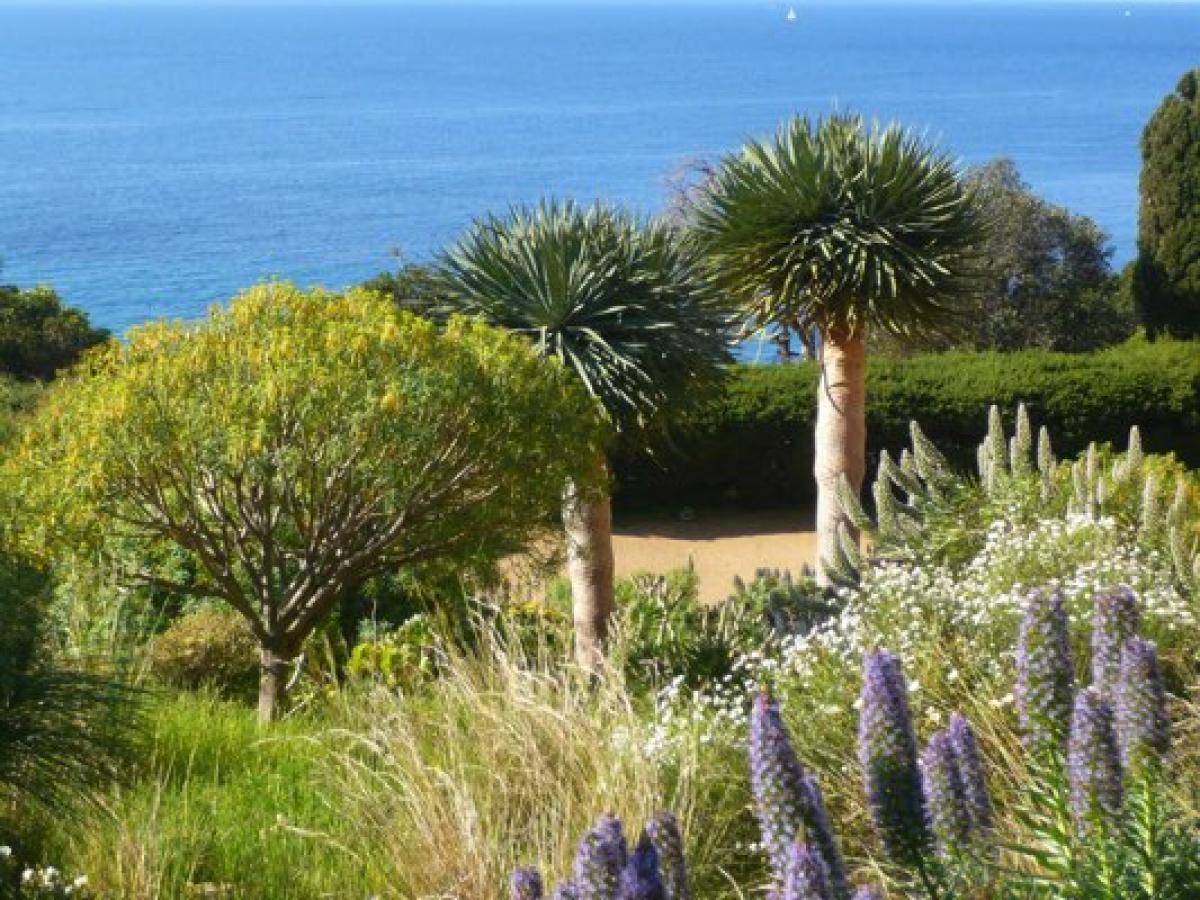 The Most Beautiful Parks and Gardens in Provence