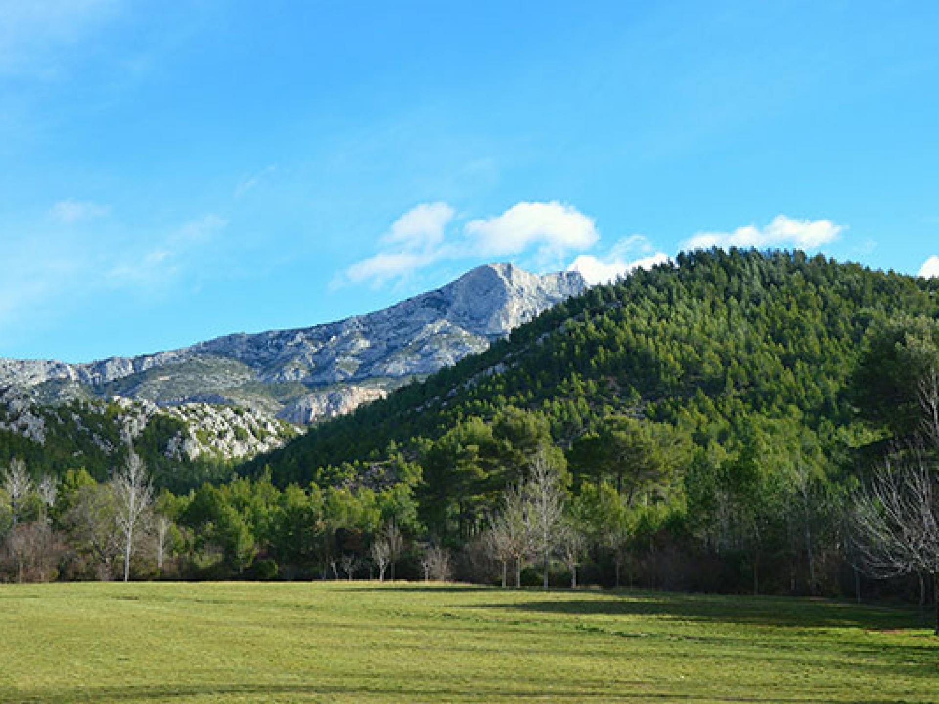 Want to get outdoors? Explore our top 10 nature walks in Provence