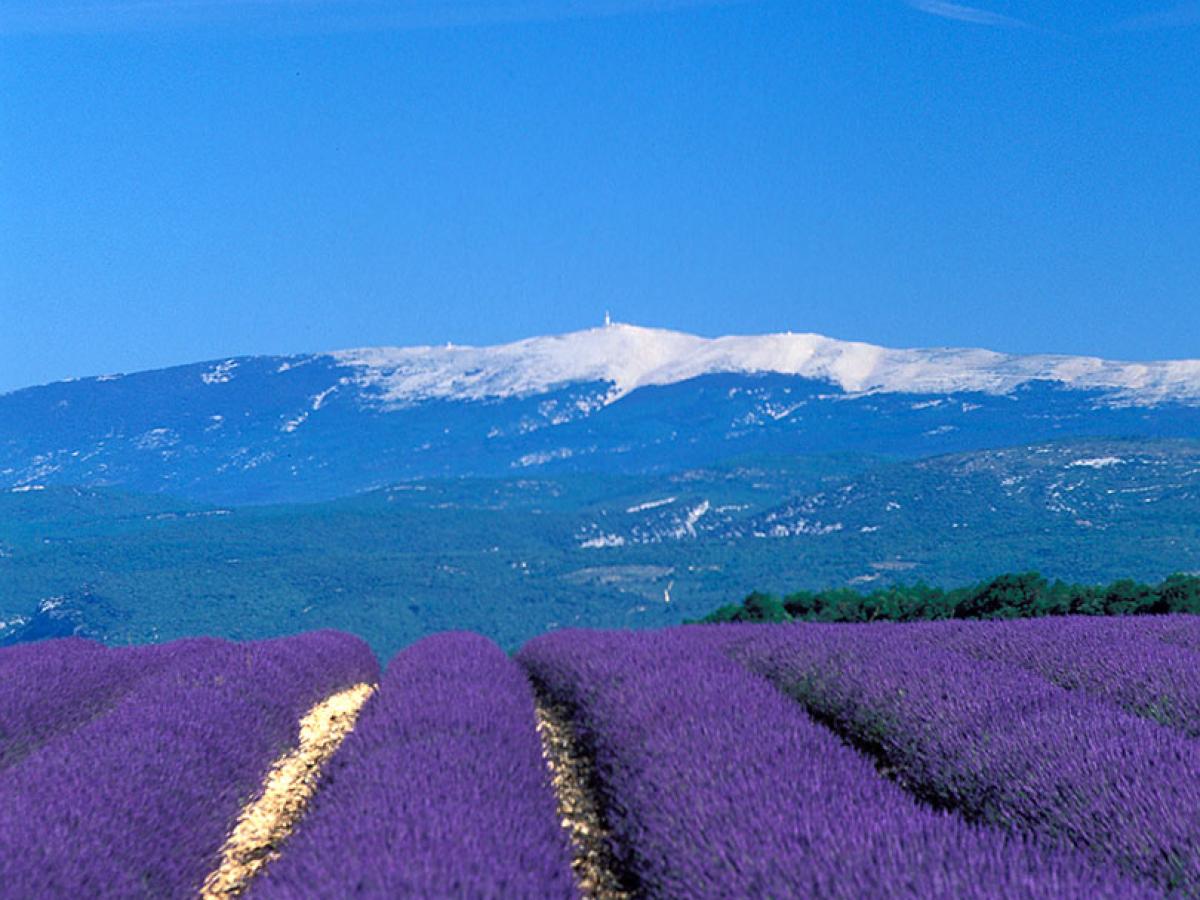 Le Luberon | Provence-Alpes-Côte d'Azur Tourisme