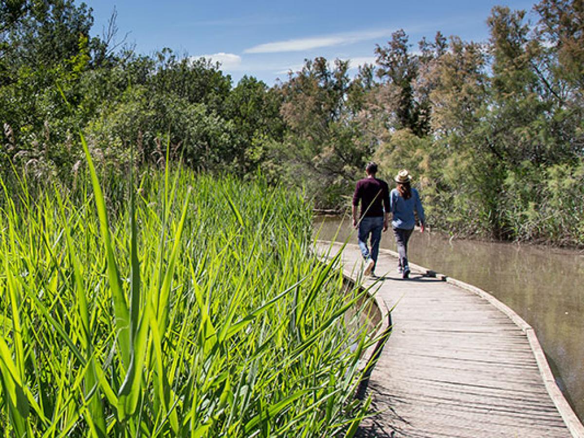 Want to get outdoors? Explore our top 10 nature walks in Provence
