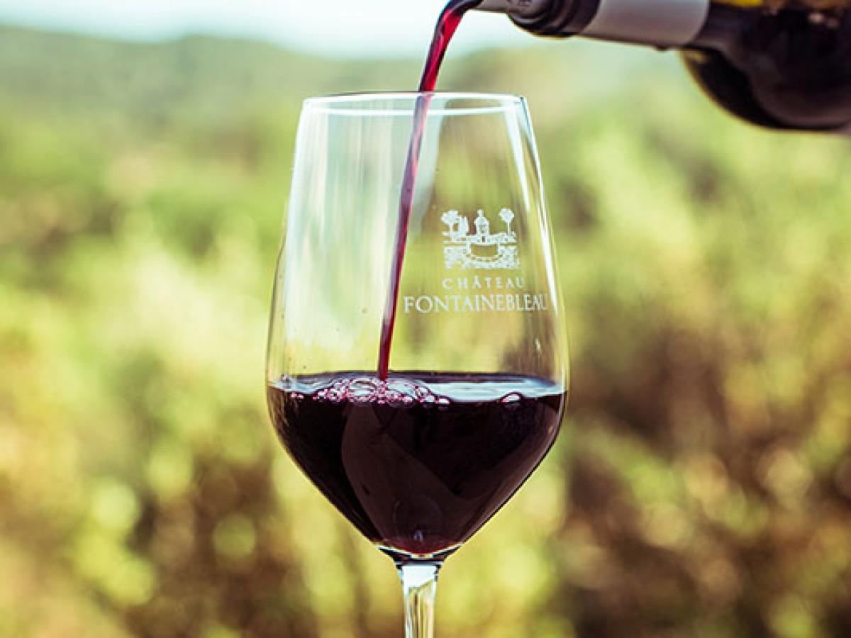 Where to taste wine in Provence: Our favorite wineries