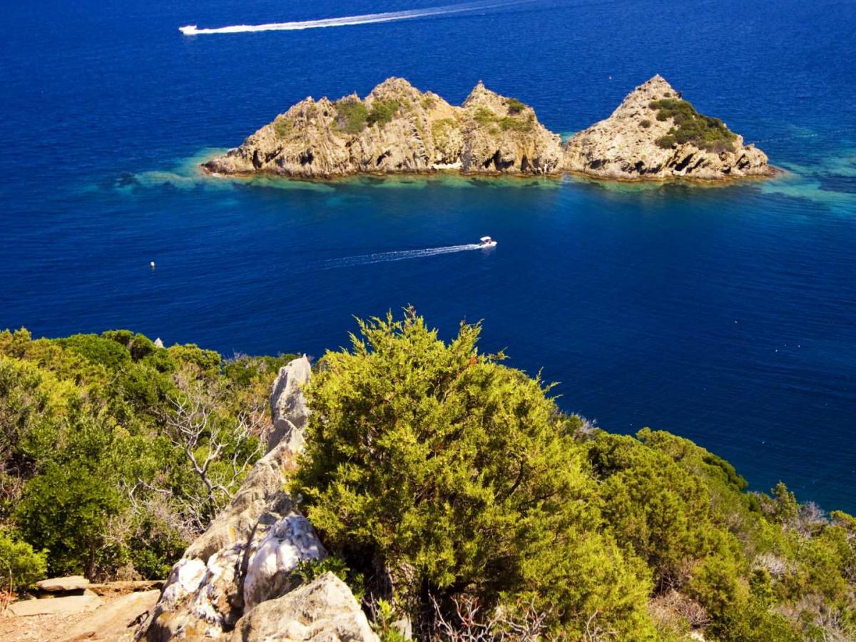 Explore the natural areas of Provence-Alpes-Côte d’Azur