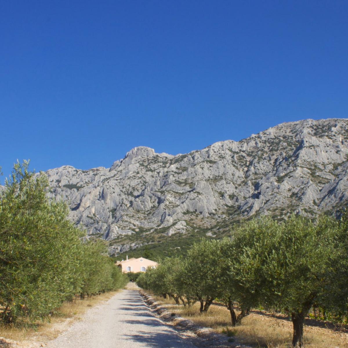 Explore the natural areas of Provence-Alpes-Côte d’Azur