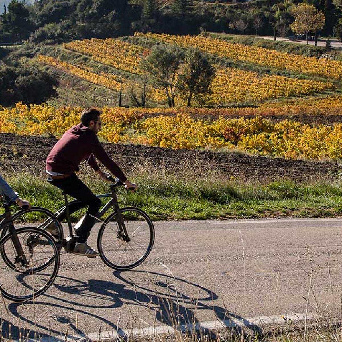 Cycle tourism | Provence-Alpes-Côte d'Azur Tourism